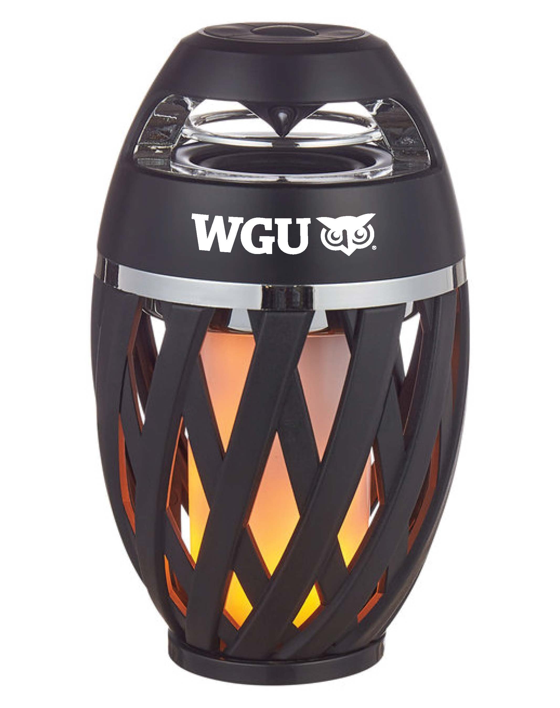 Products – WGU